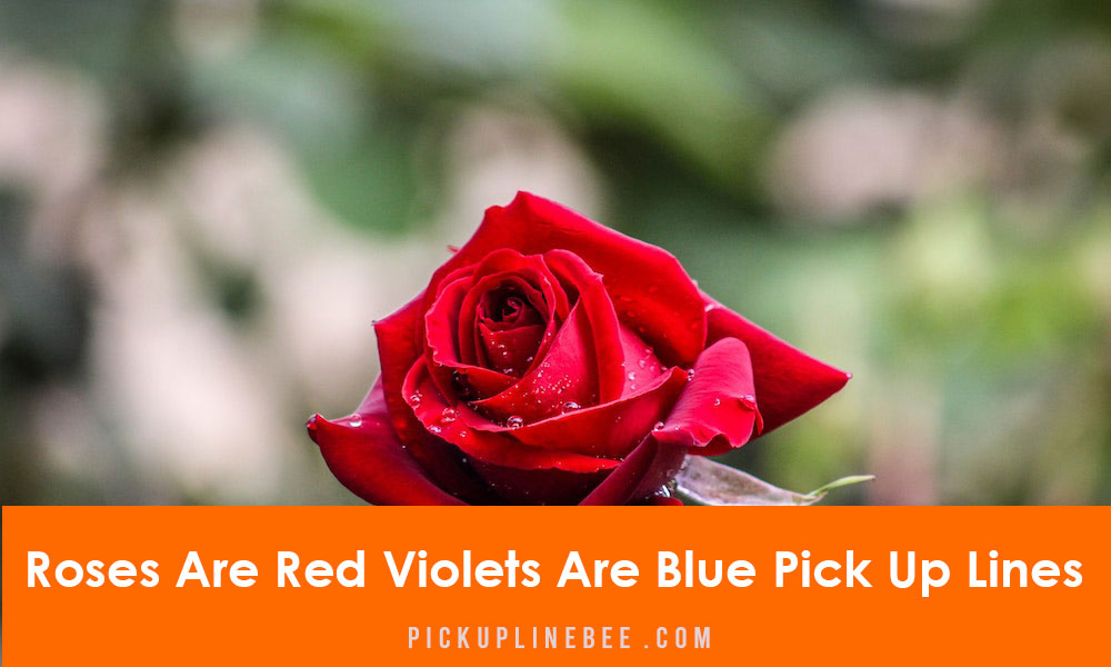 PickuplineBee - Unique Pick Up Lines For Boys & Girls